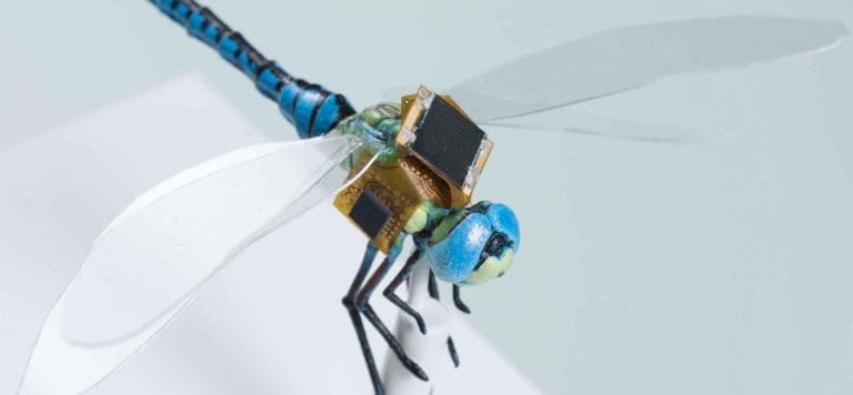 Insect Size Spy Drones Unveiled - WhiteOut Press