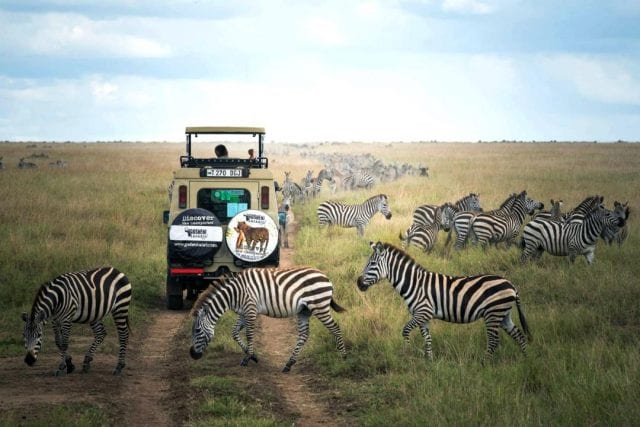 Safari in Tanzania - Travel Tips - WhiteOut Press