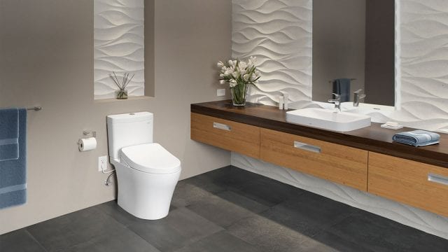 Choosing the Toilet: What You Need to Know - WhiteOut Press