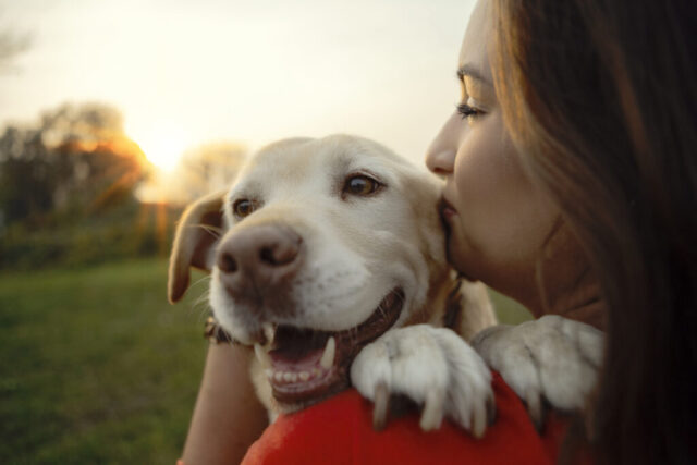 How Do Dogs Contribute To Your Health And Happiness? - WhiteOut Press