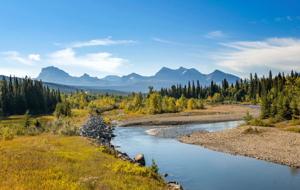 Into the Wild: Exploring National Parks - WhiteOut Press